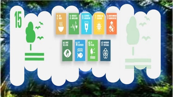 Sdg 15 presentation | PDF | Environment | Science