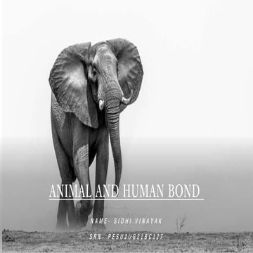 animal and human bond | PPTX