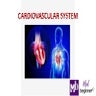 Introduction to cardiovascular system | PPTX | Heart and Cardiovascular ...