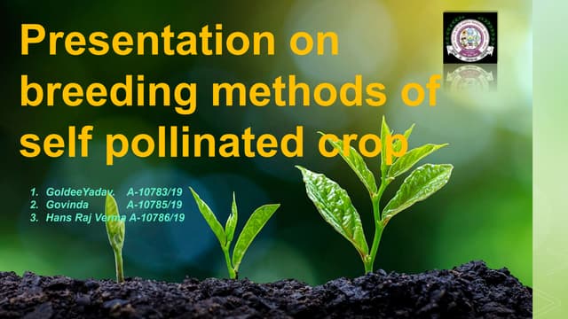 Pure Line Theory and Pure line Selection | PPTX