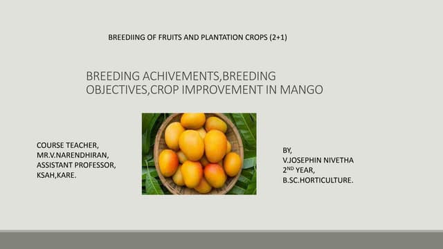 Mango breeding | PPTX