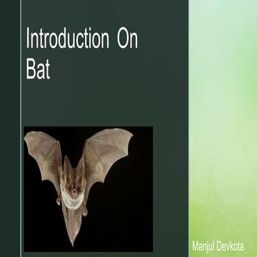 Presentation (1).pptx