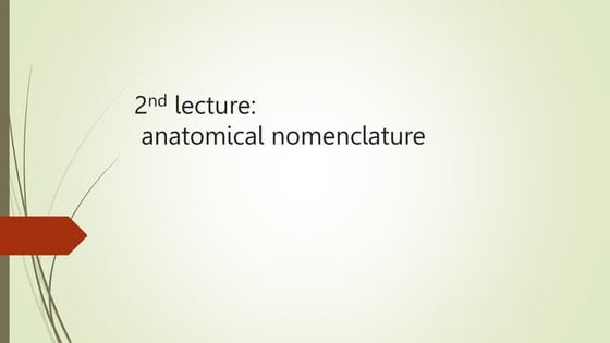 Anatomical Position and Basic Movements | PPT