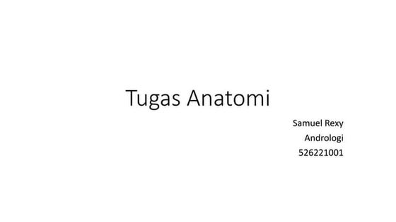 Skene’s gland anatomy and regulations and features | PPTX