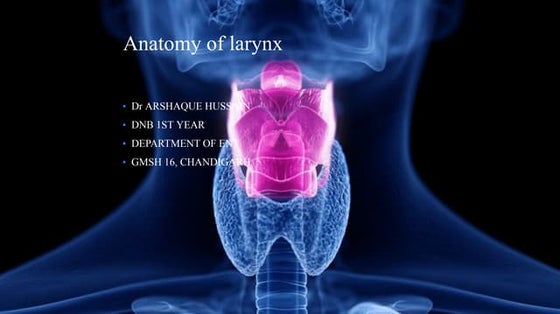 MIDLINE STRUCTURES OF NECK anatomy PowerPoint | PPTX | Thyroid ...