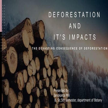 DEFORESTATION | PPTX | Agriculture | Industries