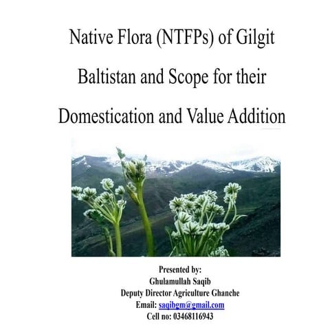 Presentation1.pptxNative Flora (NTFPs) of Gilgit Baltistan and Scope ...