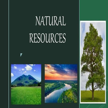 Presentation (1).pptx Science project report | PPTX