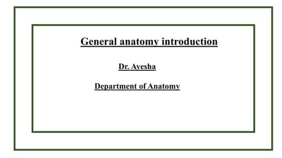 Anatomical Position and Basic Movements | PPT