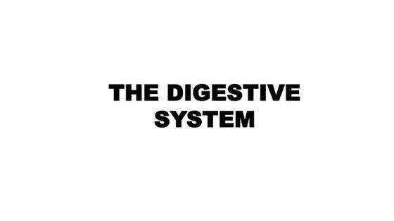 Grade Eight - The Human Digestive System | PPTX | Food & Drink