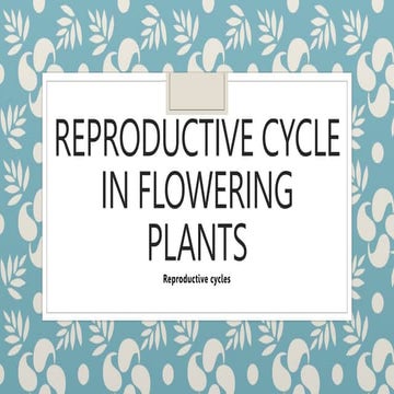 Life cycle of flowering plants | PPTX