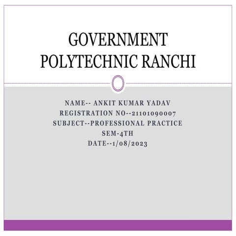 Presentation on the professional practice | PPT