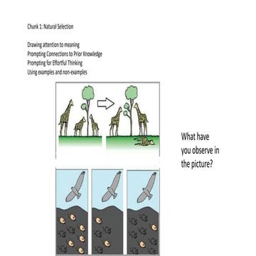 Presentation1 powerpoint presentation.pptx