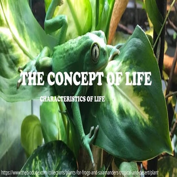 Introduction to life science looking at the concept of life and it's ...