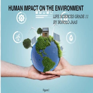HUMAN IMPACT ON THE ENVIRONMENT PRESENTATION | PPTX