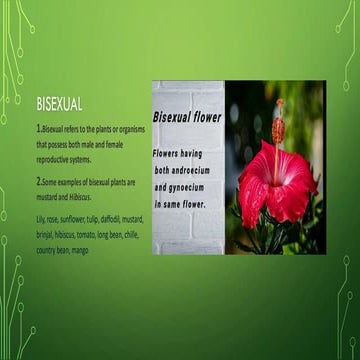 Presentation (1).pdf biology project class 10 | PPT