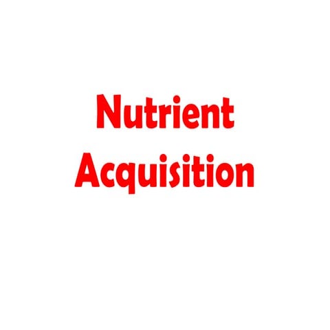 Presentation1.pptxNutrient Acquisition.. | PPTX