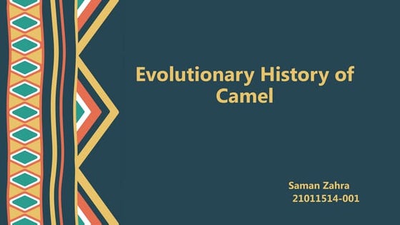 Evolutionary history of camels | PPT