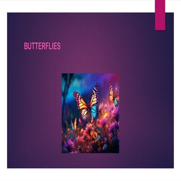 all about the butterflies and its special | PPT