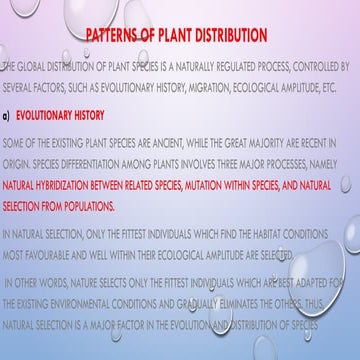 patterns of plant distribution Presentation1.pptx
