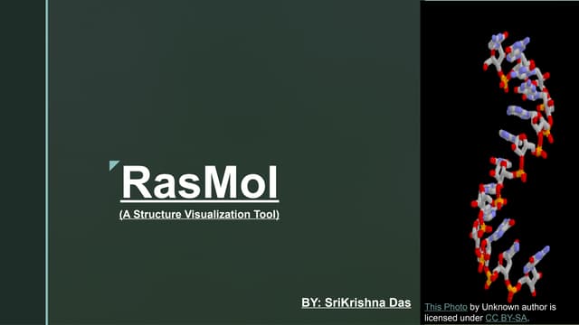 Protein structure visualization tools-RASMOL | DOCX