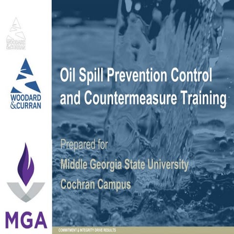 Presentation about Oil Spills impact on the environment | PDF