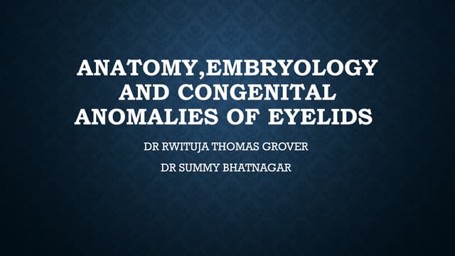 eyelid anatomy slideshare | PPTX