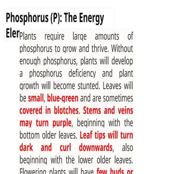 Presentation for the discussion of module.pptx