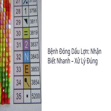 benh dong dau lon, cong nghe chan nuoi 11 | PPTX