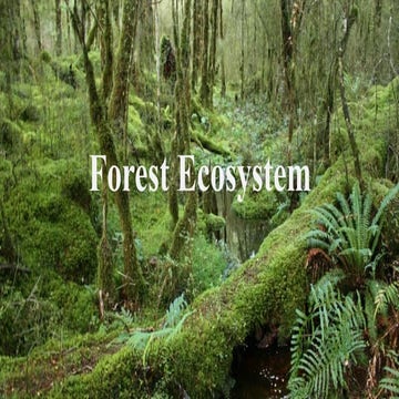 Forest ecosystem -its types and functions | PPT