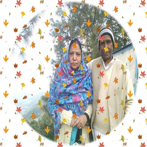 Presentation1..animated pic | PPSX