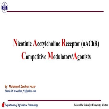 Nicotinic Acetylcholine Receptor (nAChR) Competitive Modulators ...