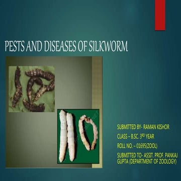 Presentation (1) diseases and pest of silkworm. | PPTX