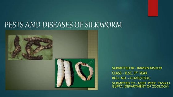 Lac culture and Cultivation | PPT