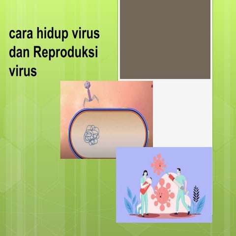 Presentation1 - reprduksi virus.pptx