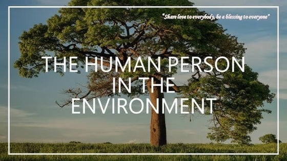 Lesson 4 the human person in the environment | PPTX