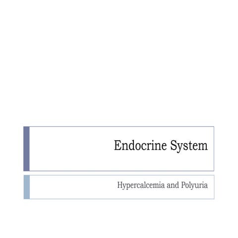 Endocrine system | PPT