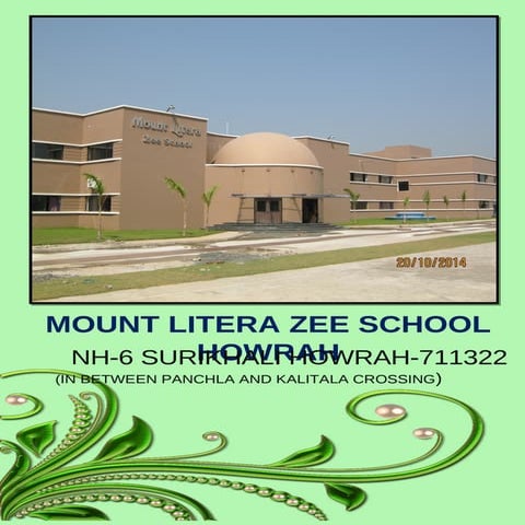 Presentation1 (1) | PDF