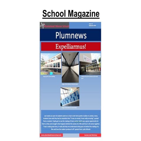 Presentation1 (1) | PPTX | Desktop Publishing | Computer Software and Applications