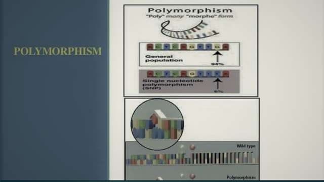 Genetic polymorphism | PPTX