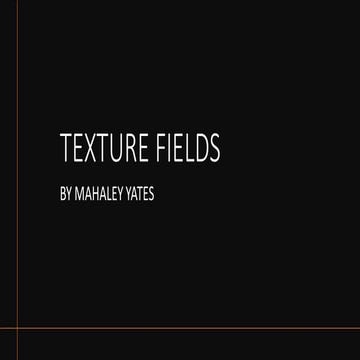 Texture Fields | PPT