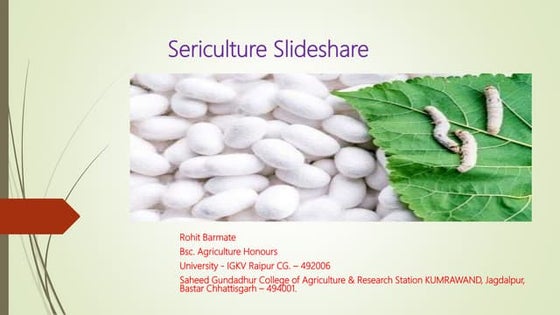 6 chapter steps in silkworm egg production at grainage, egg sheets and loose egg production ...