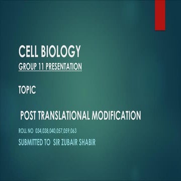 Presentation 11 .pdf