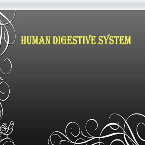 HUMAN DIGESTIVE SYSTEM | PPT