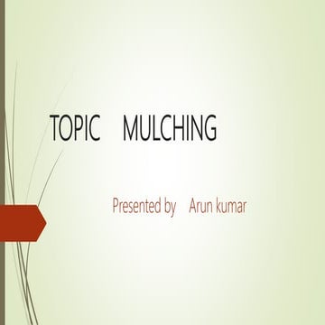 mulching and its types | PPTX