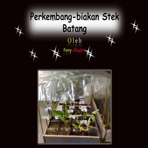 stek batang | PPT