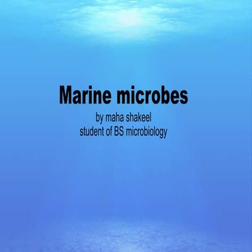 marine water microbes | PPTX