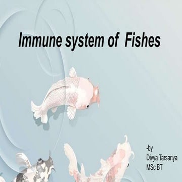 Fish Immune system by Divya Tarsariya Presentation (12).pptx