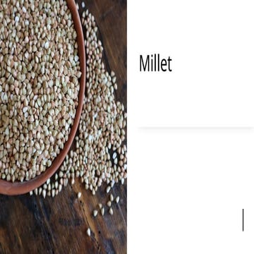 Presentation millets topic theme ag.pptx