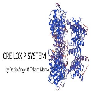 The Cre-LoxP System | PDF